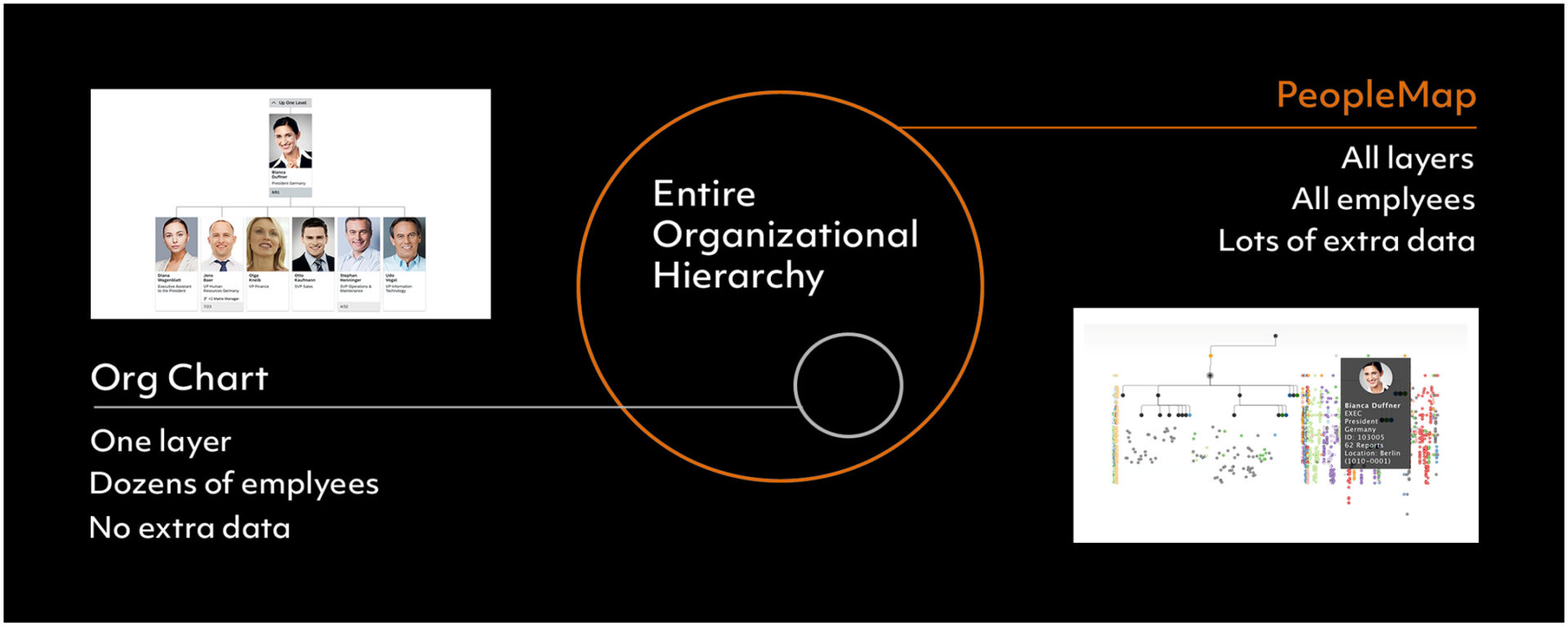 SAP SuccessFactors Analytics | Workforce Analysis Software | HRIZONS